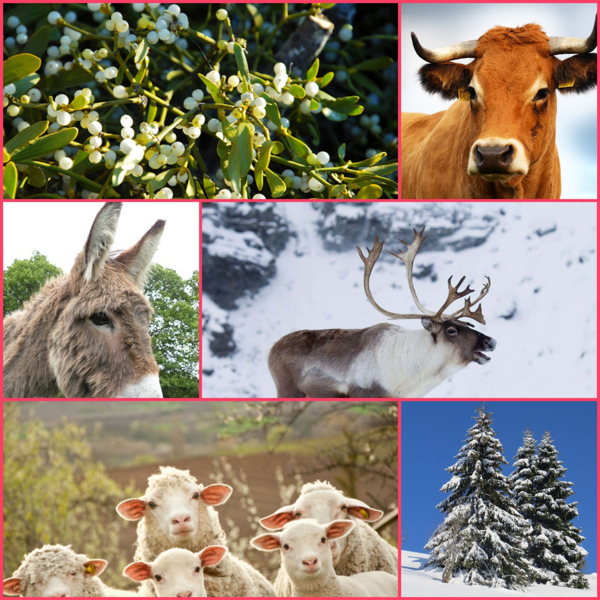 Museo Civico di Storia Naturale di Trieste – Comune di Trieste